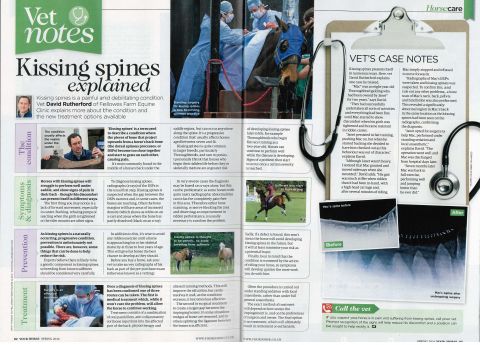 XLVets | Your Horse - Spring 2016 | www.xlvets.co.uk